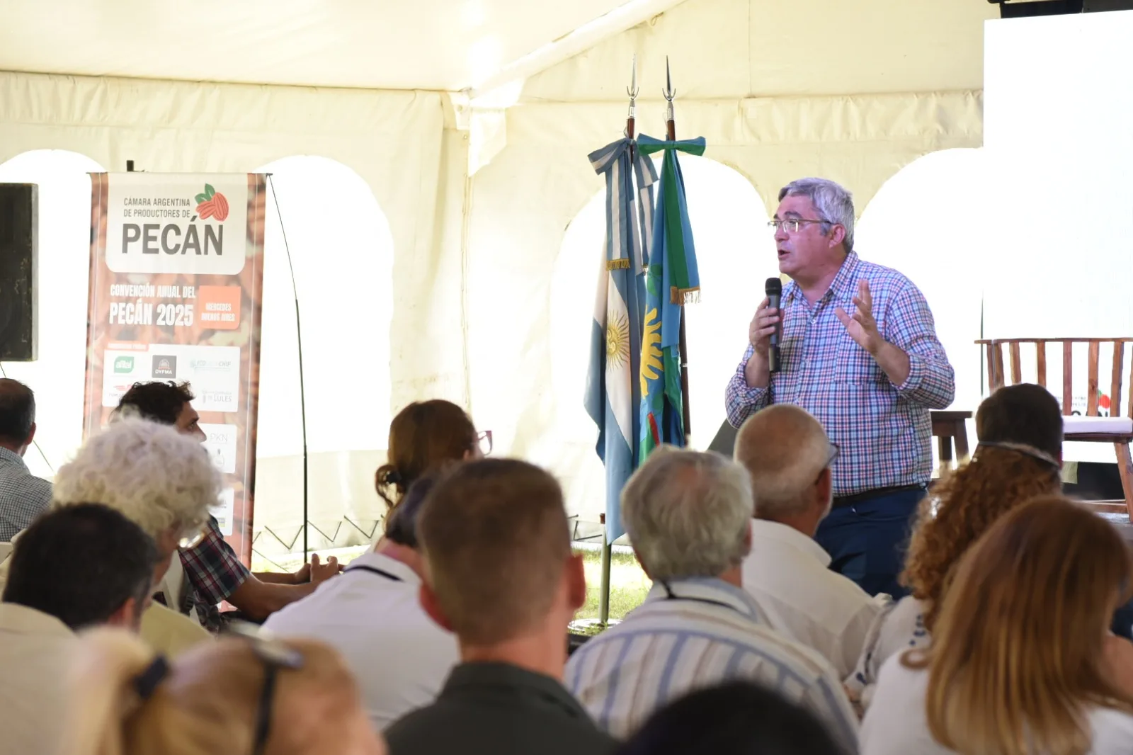 El pecán, una gran oportunidad de diversificación productiva